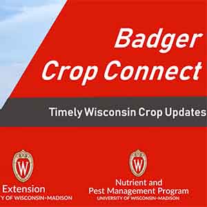 Badger Crop Connect Webinar Series 2023: July 28, 2023 Special Drought ...