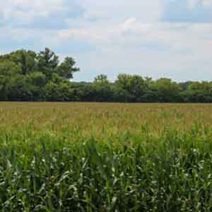 Scientists say Wisconsin’s climate has already changed, will continue ...