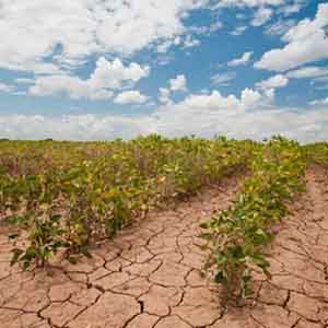 Climate experts say one area in far northern Wisconsin has maxed out ...