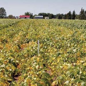 Extreme Heat and Drought | Center for Climatic Research