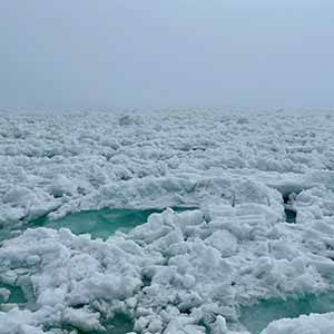 It's mid-January and the Great Lakes are virtually ice-free. That's a ...